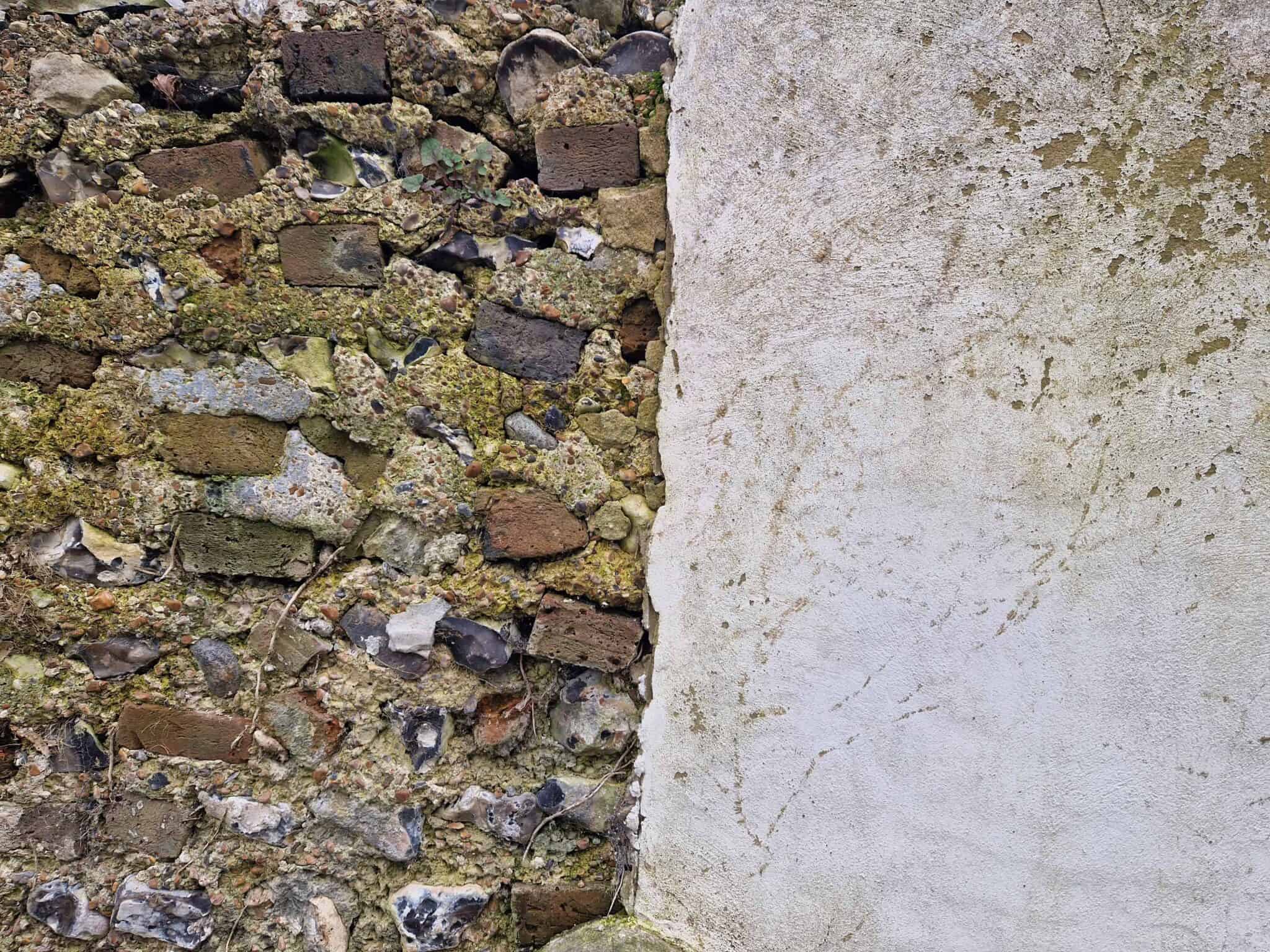 Bungaroosh and Electric Bikes | Dabinett