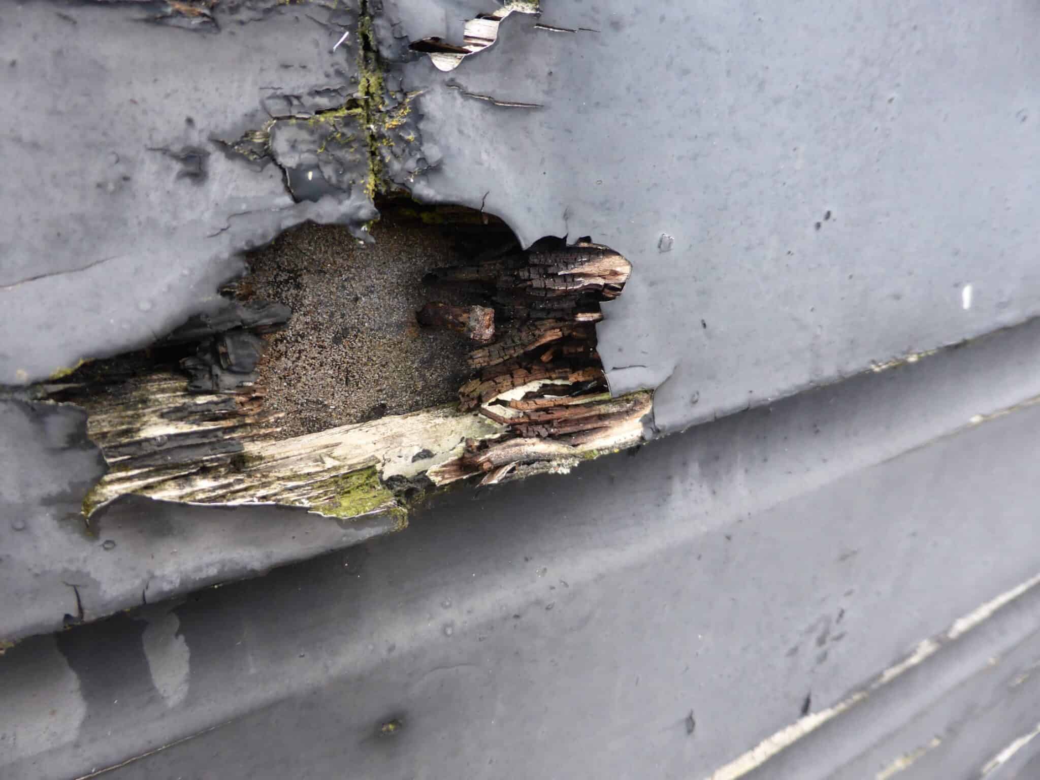 The Tenant's Guide to Decoration Clauses | Dabinett